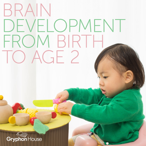 Brain Development from Birth to Age 2
